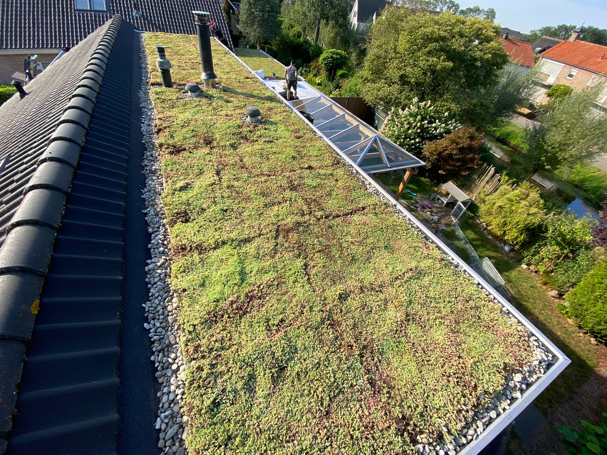 Dachbegrünung Vorteile | SedumDachbegrünung